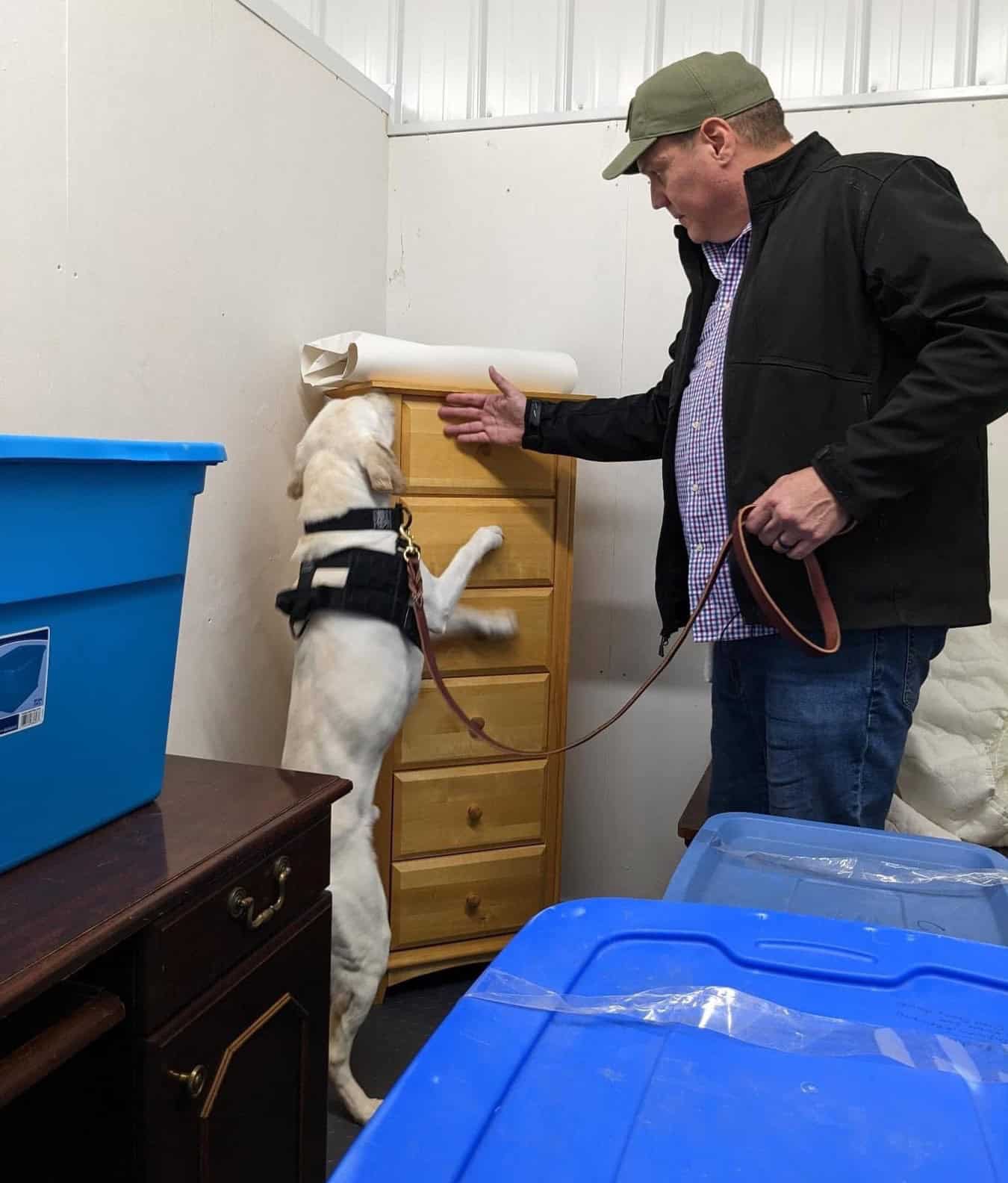 More Than a Dog: Rosco’s Impact | Our Rescue