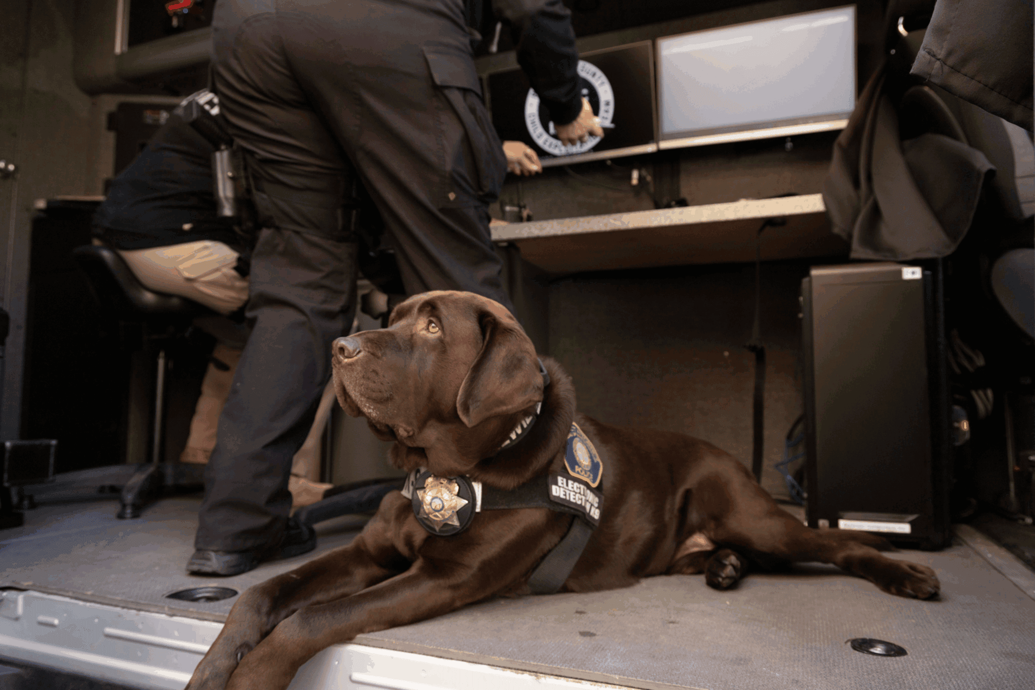 Careers | Our Rescue