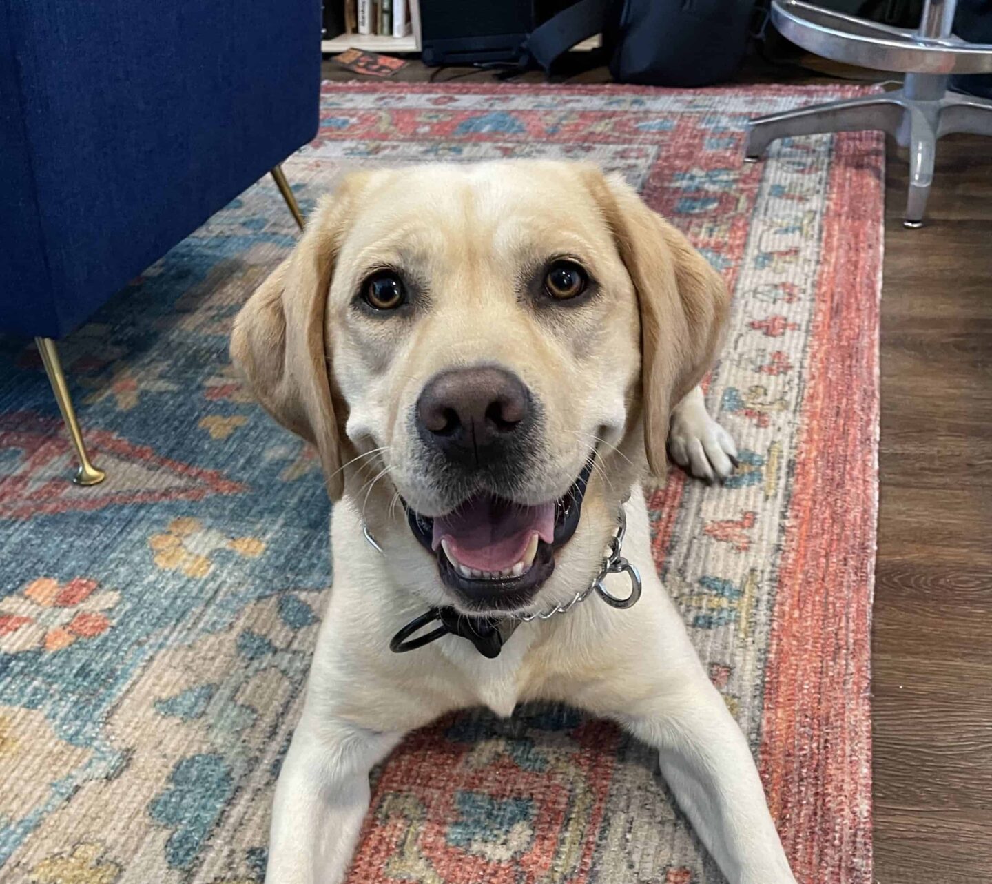 OUR Rescue | Help rescue people from sex trafficking & exploitation.