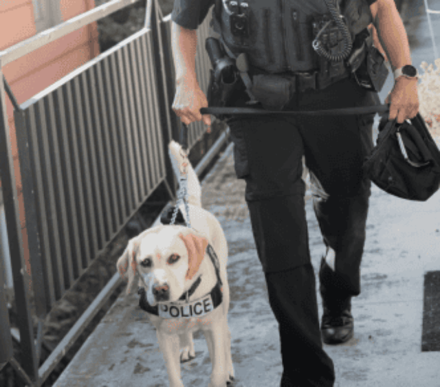 Operations | Bringing rescue to every corner of the world