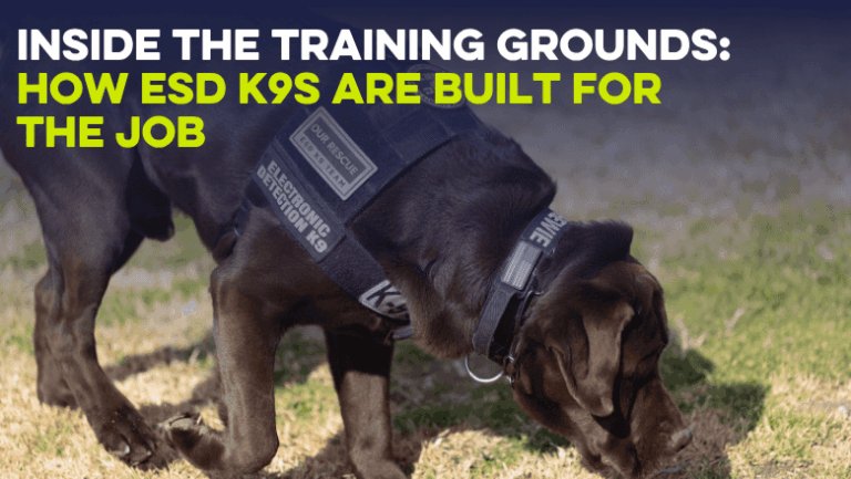 CSAM | Our Rescue
